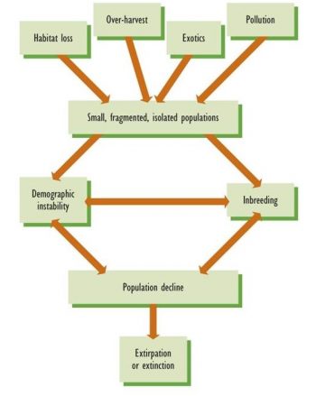 Chapter 27 ~ The Biodiversity Crisis – Environmental Science