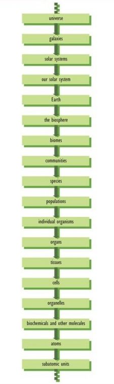 Chapter 1 ~ Ecosystems and Humans – Environmental Science