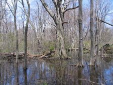 Chapter 8 ~ Biomes and Ecozones – Environmental Science