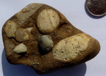 8.4 Isotopic Dating Methods — Physical Geology – 2nd Edition – ACC ...