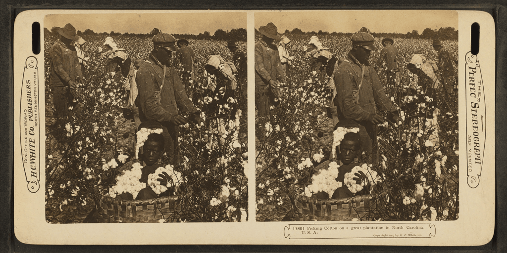 The Cotton Revolution – The American Yawp: CCA Edition
