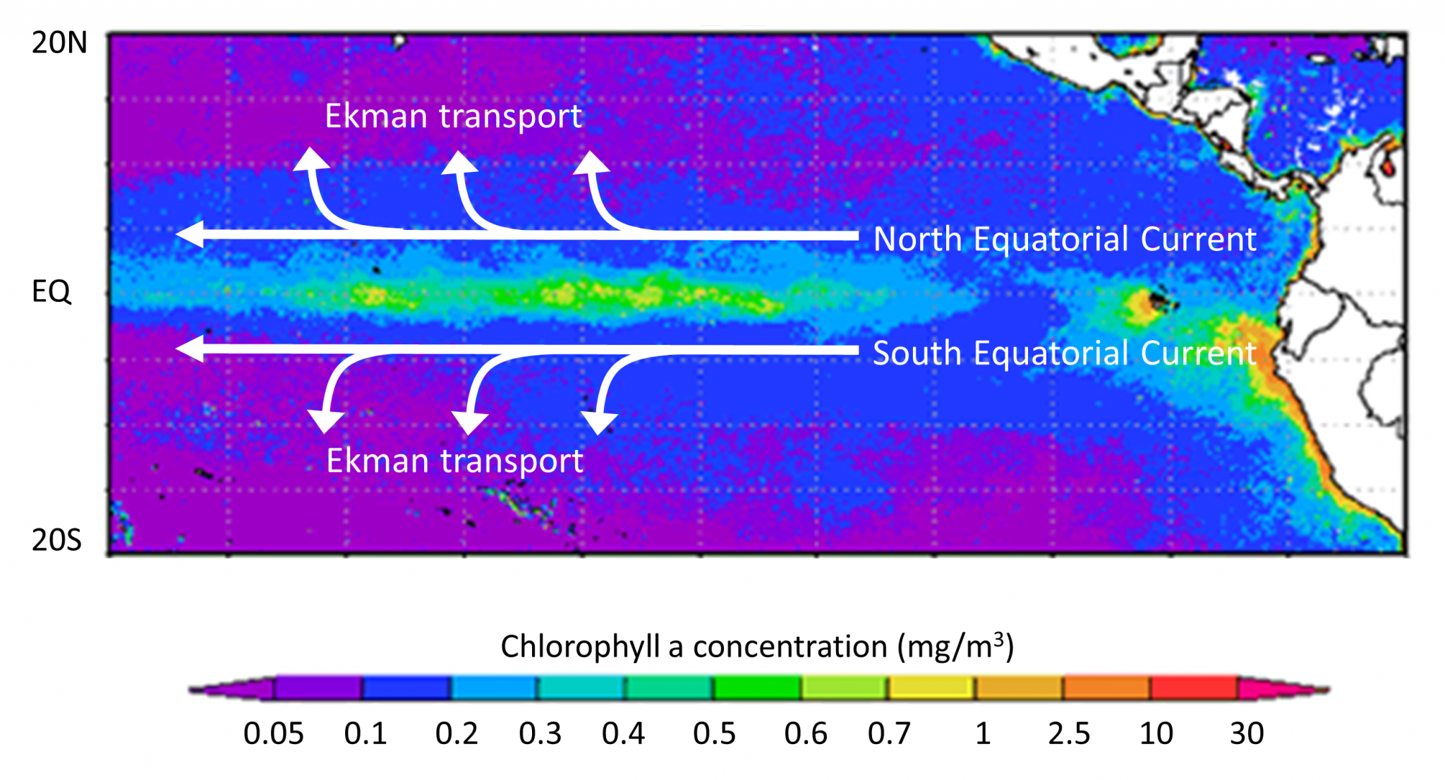 9.5 Currents, Upwelling and Downwelling – PPSC GEY 1155 Introduction to ...