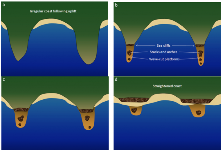 13.3 Landforms of Coastal Erosion – PPSC GEY 1155 Introduction to ...