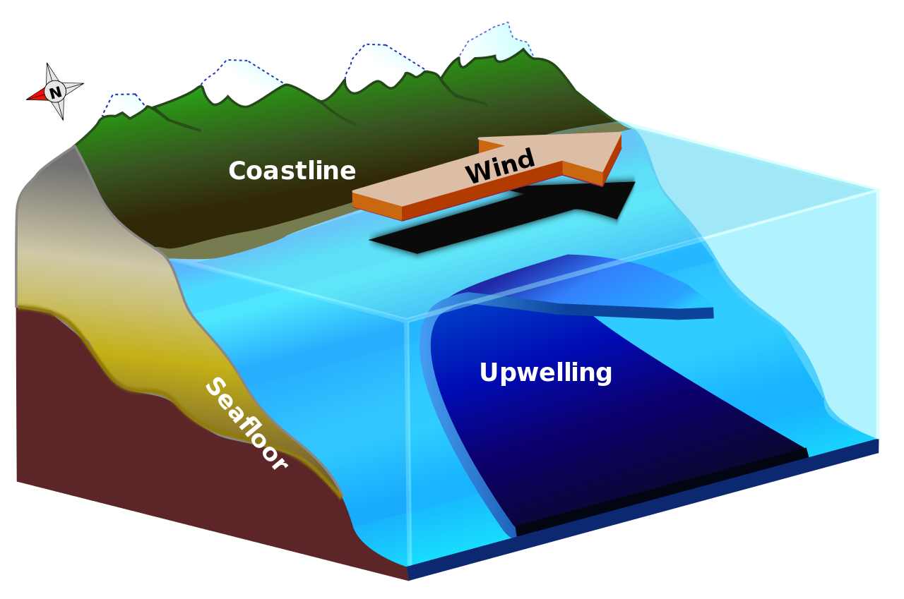 9.5 Currents, Upwelling and Downwelling – PPSC GEY 1155 Introduction to ...