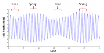 11.1 Tidal Forces – PPSC GEY 1155 Introduction to Oceanography