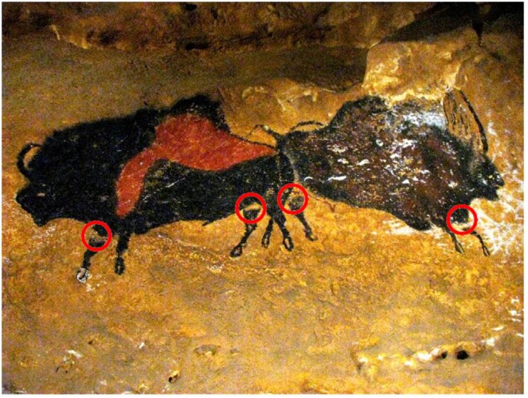 1.3 Elements of Art as Demonstrated at the Lascaux Cave Dordogne ...